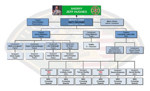 Organizational Chart - Williamson County Sheriff’s Office