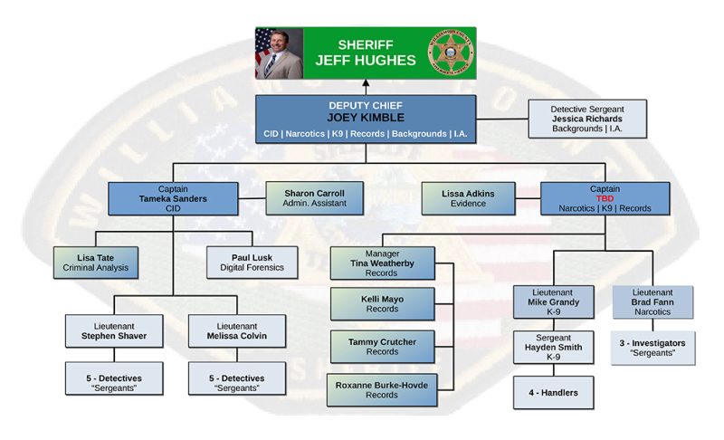 Organizational Chart - Williamson County Sheriff’s Office